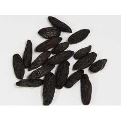 Tonka bean absolute, Bób Tonka 100% absolut do produkcji perfum ...